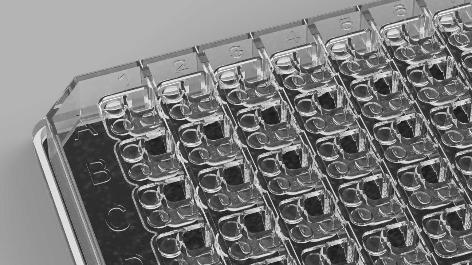 Crystallisation - SWISSCI